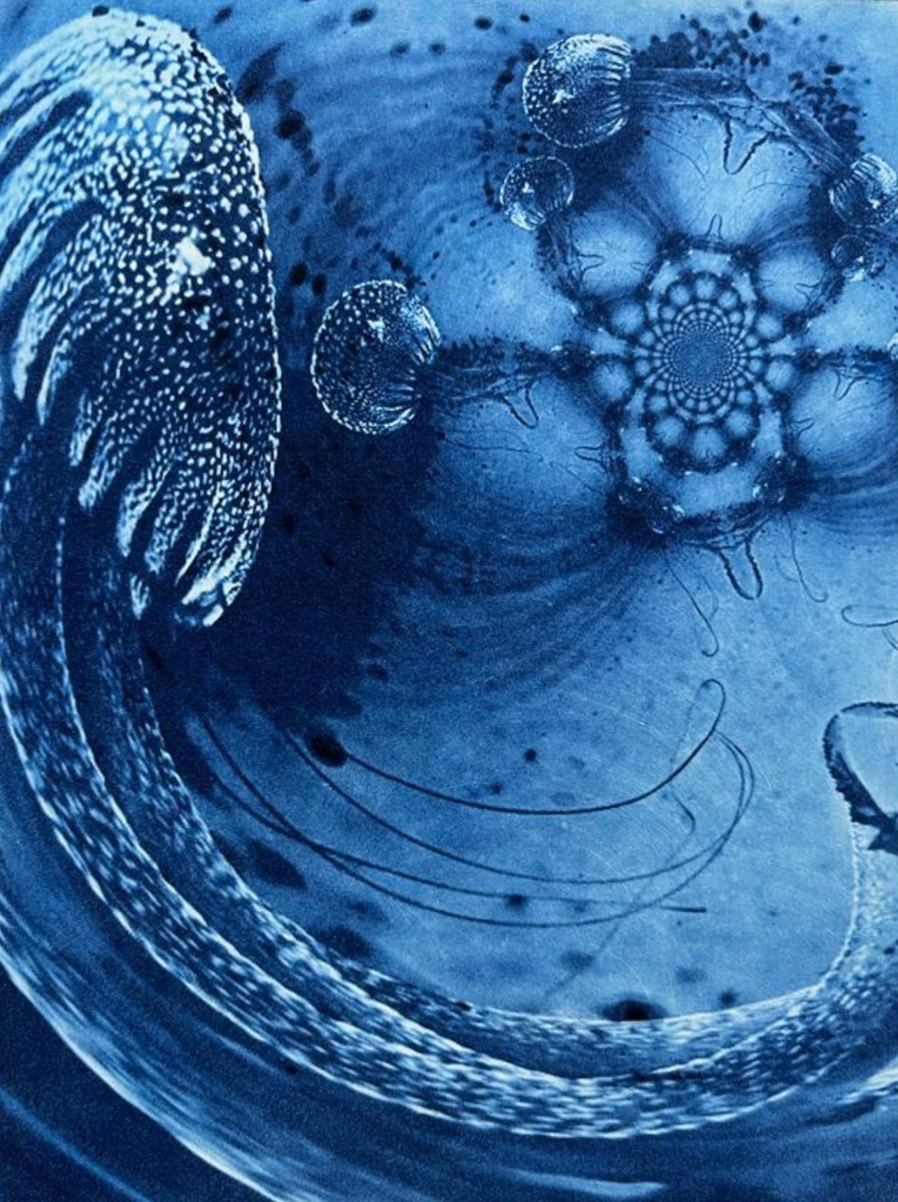 Art Blog | A Creative Hub For Artists | RBSA